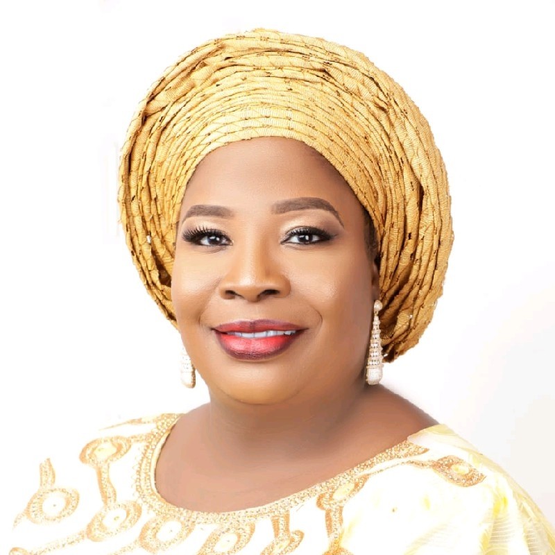 The Nigerian Society of Engineers Holds Investiture for its First ...